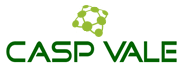 Casp - Vale Consultoria E Assessoria De Sistemas Públicos